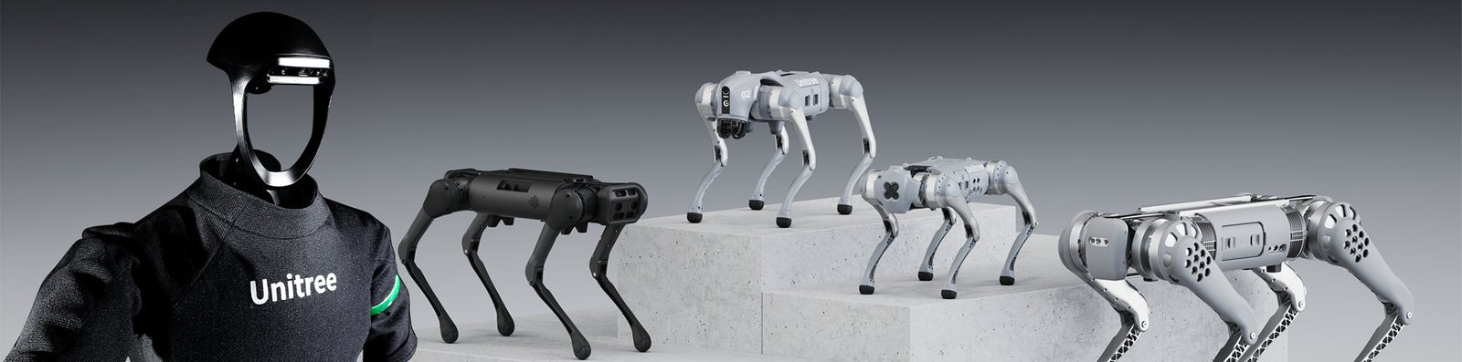 Unitree Robotics: Advanced quadrupeds and humanoid robots